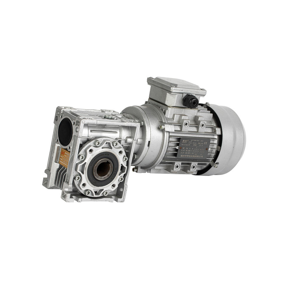 YS8024 0.75KW 3 Phase Asynchronous Motor with Worm Gear Reducer NMRV63 ...