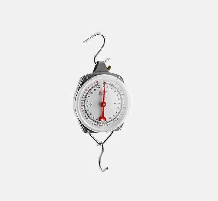 110lbs / 50kg Capacity Dual Unit Heavy Duty Precision Hanging Scale ...