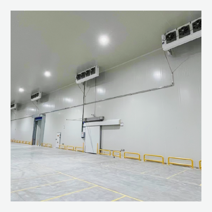 Cold Storage Room Blast Chiller Freezer Room for Restaurants with Rapid ...
