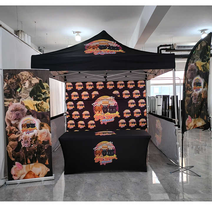 Sunshine Tente Pliante 3x3 M Canopy Barnum Chapiteau Pliant