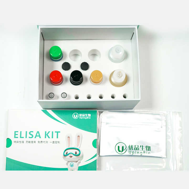 Rabbit Lipoprotein a (Lpa) Detection Kit| Alibaba.com