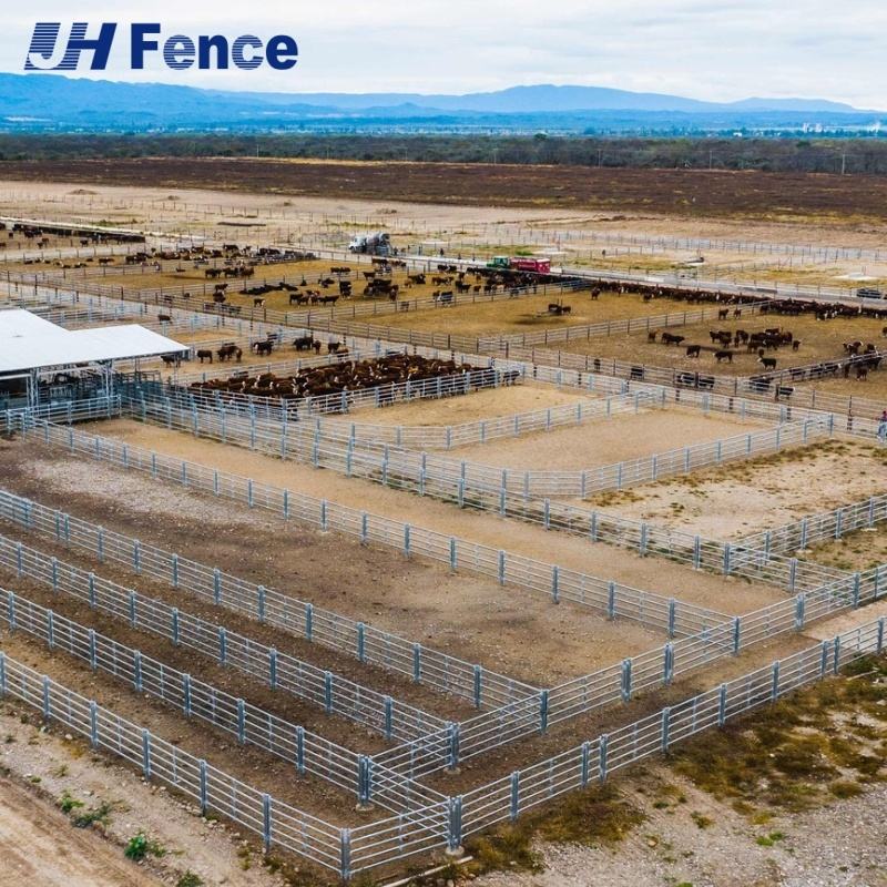 Ultimate Security Cattle Panel: Engineered for Maximum Strength and ...