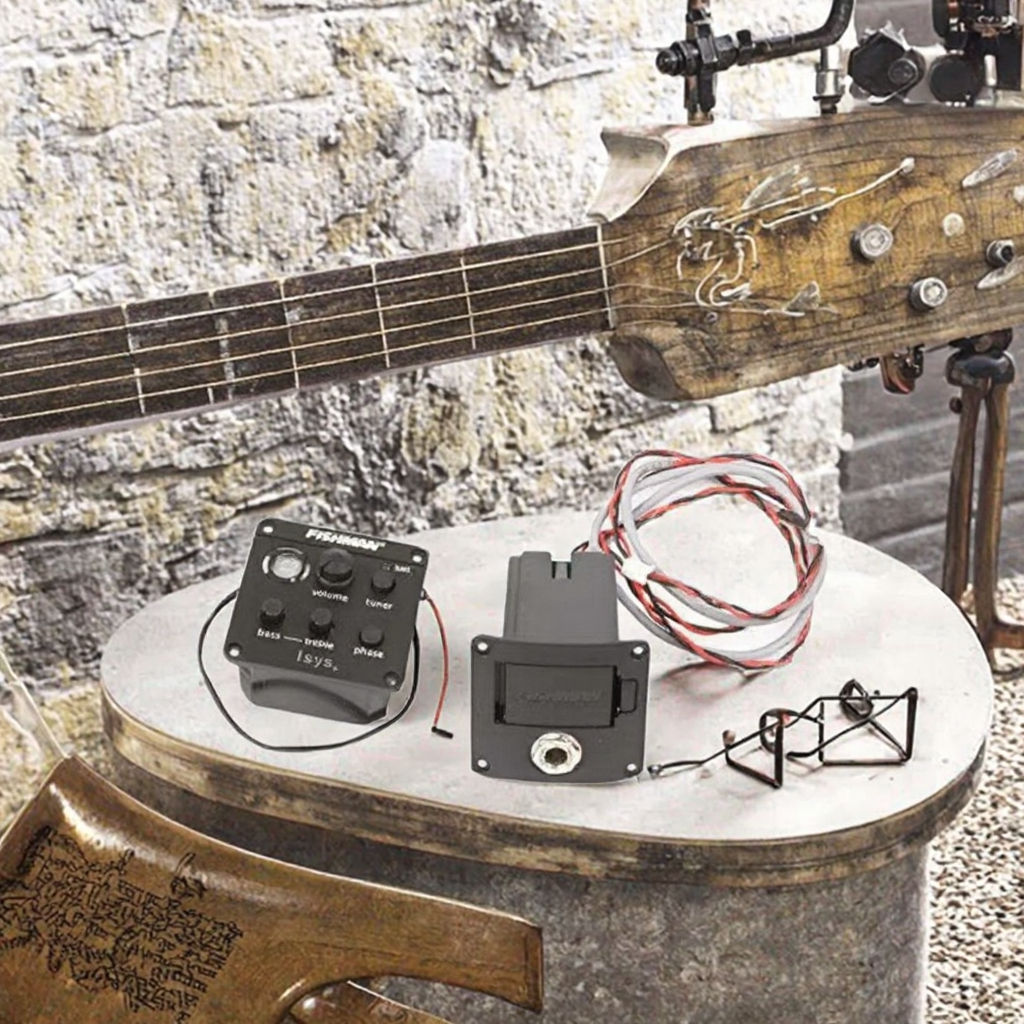 How to Choose the Best Fishman Platinum Stage System for Your Needs