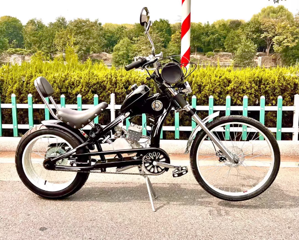 Chopper Bike 20-24 Inch Fat Bike with Engine - Unisex