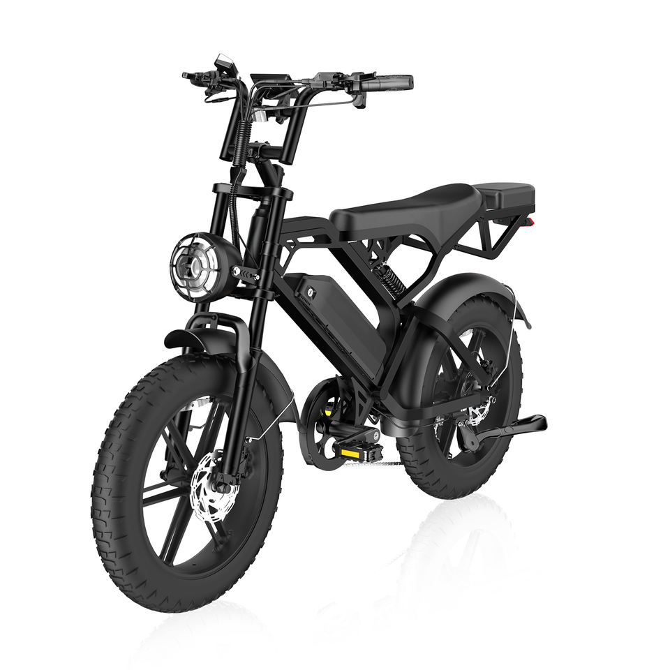 ファットタイヤ電動自転車 48V ブラシレス 250W 多機能モデル V20| Alibaba.com