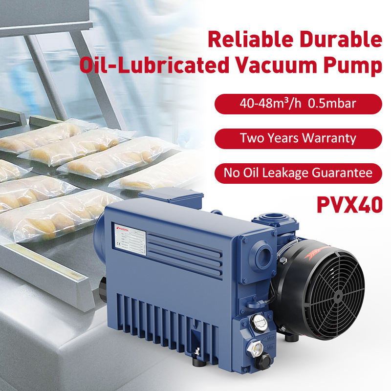 Industrial Rotary Vane Vacuum Pump PVX40 40m³/h 48m³/h Oil-Lubricated ...