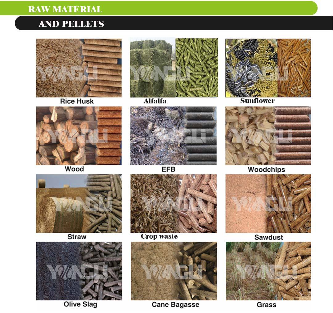 How to Choose the Best Pellet Machine Ring Type for Your Needs