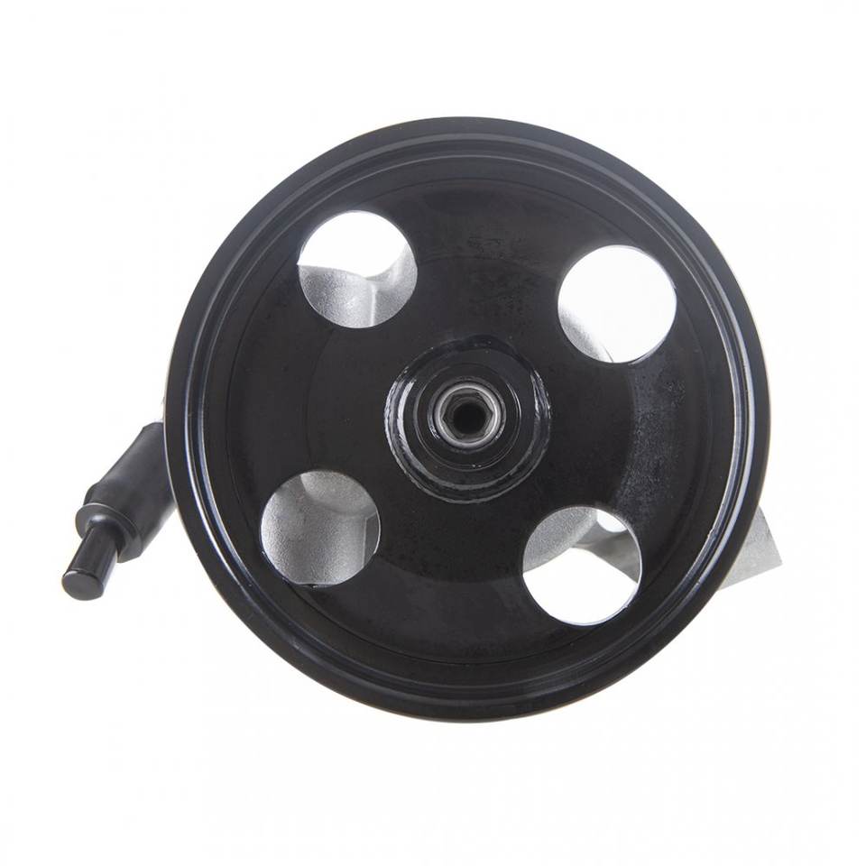 OE 55243967 Power Steering Pump for PALIO WEEKEND GRAND SIENA Model ...