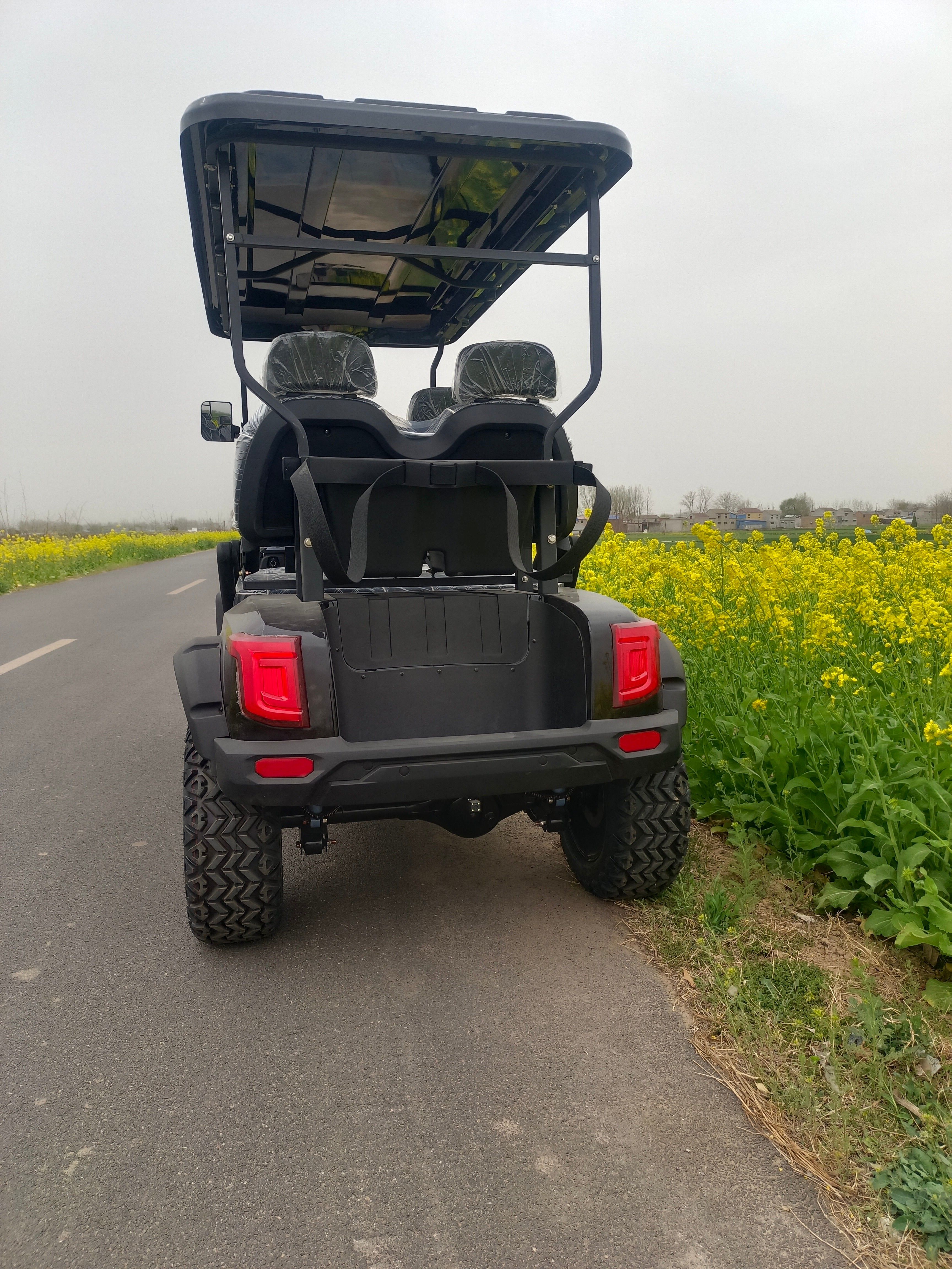 Chinese Golf Carts - High Quality 4-6 Seater Electric