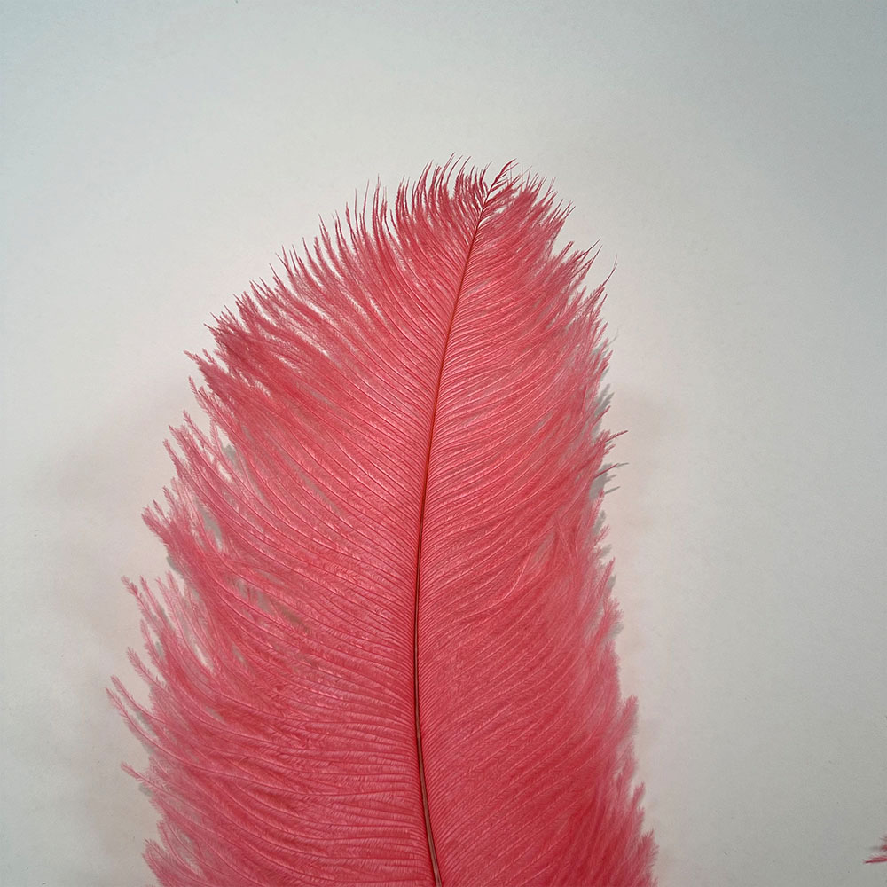 How to Choose the Best Party Pink Orange for Your Event Needs