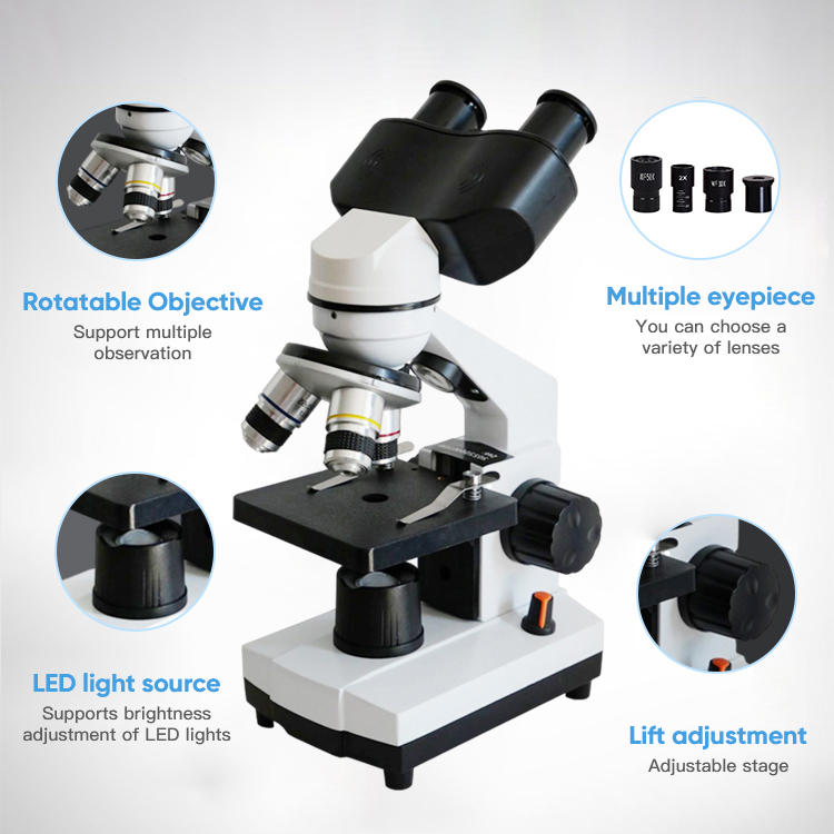 Custom Binocular Laboratory Microscope Adjustable Biological Stereo ...