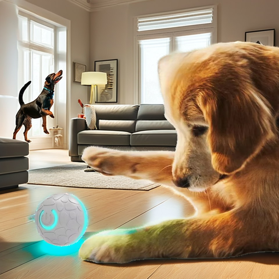 Red Cartoon Laser Training Toy for Dogs & Cats-650nm Rechargeable Pet ...