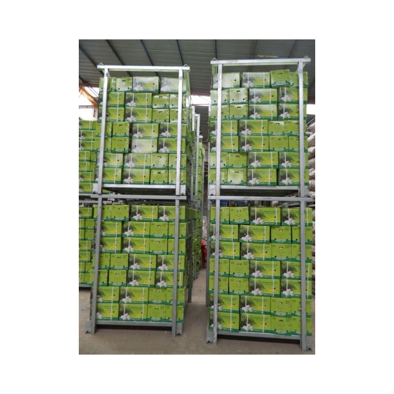 Wholesale New Fresh Garlic Supplier Normal White Garlic Manufacturer ...