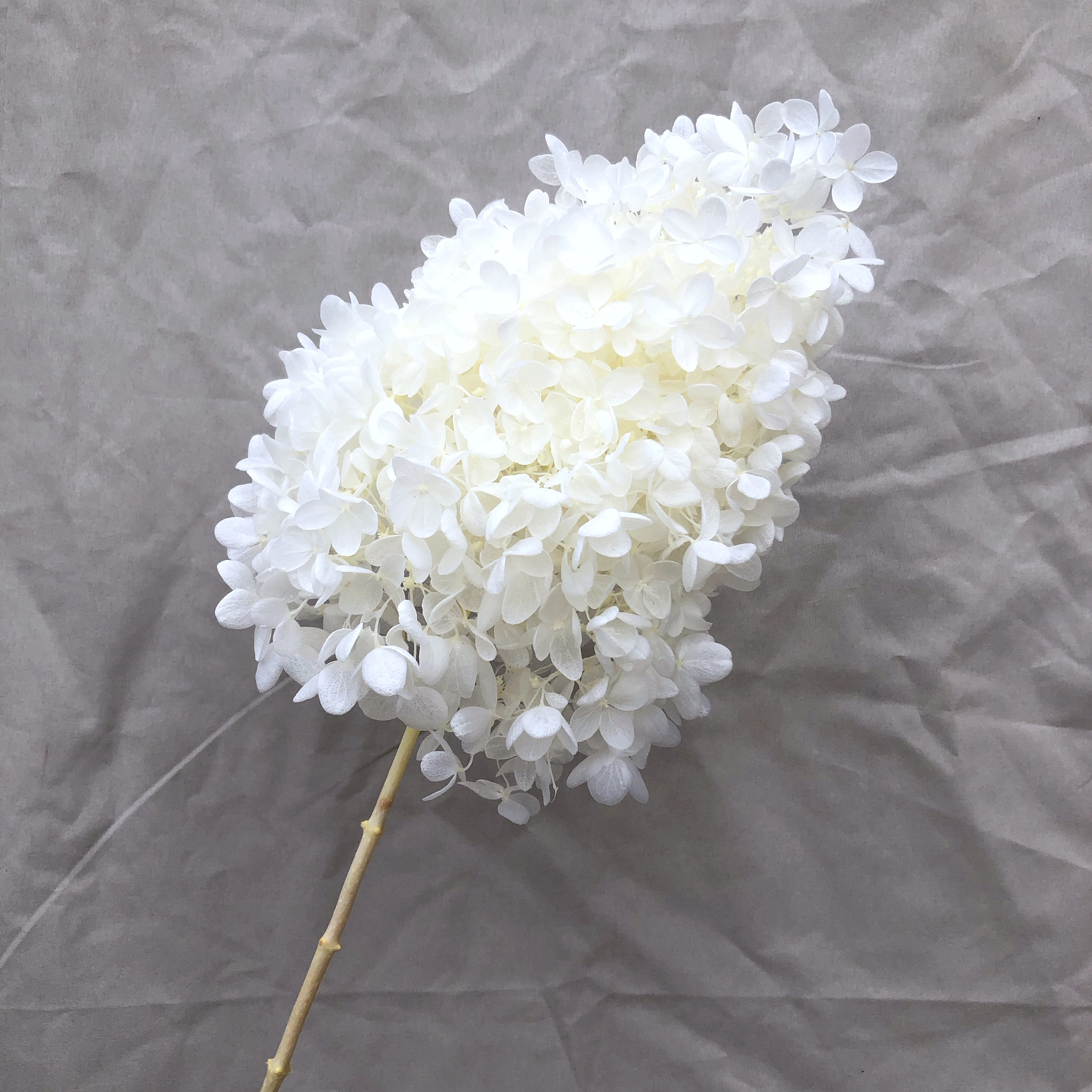 How to Choose Sola Wood Flowers Pink: Ultimate Buying Guide