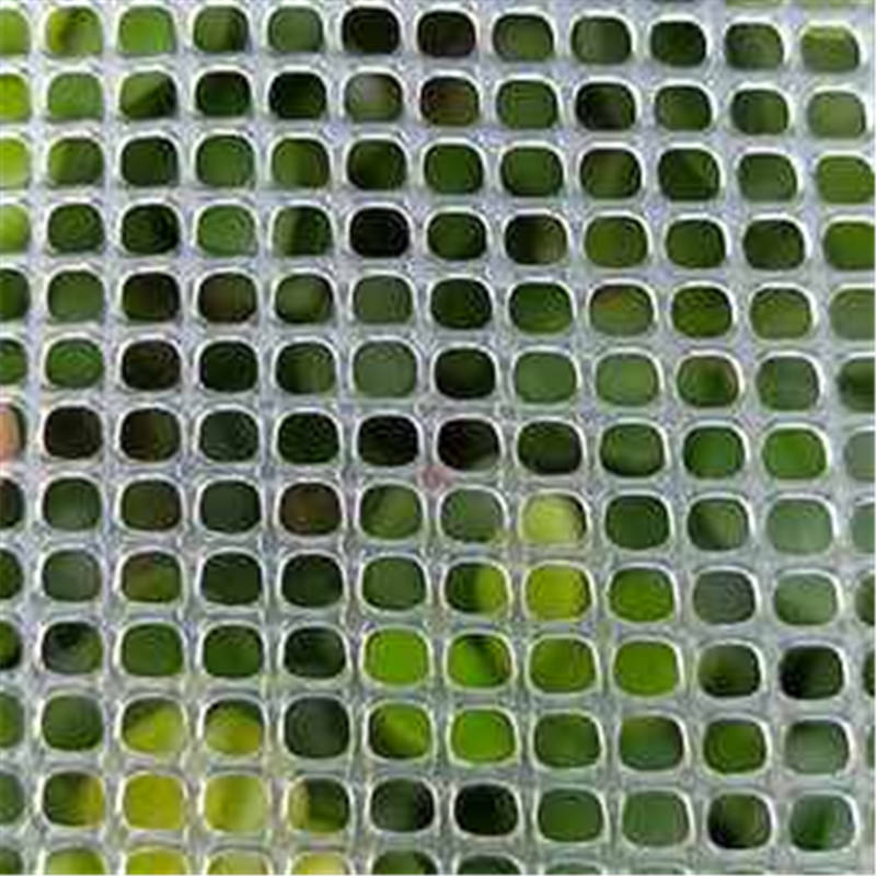 HDPE Plastic Square Mesh with 0.3-2cm Holes Easily Assembled for Oyster ...
