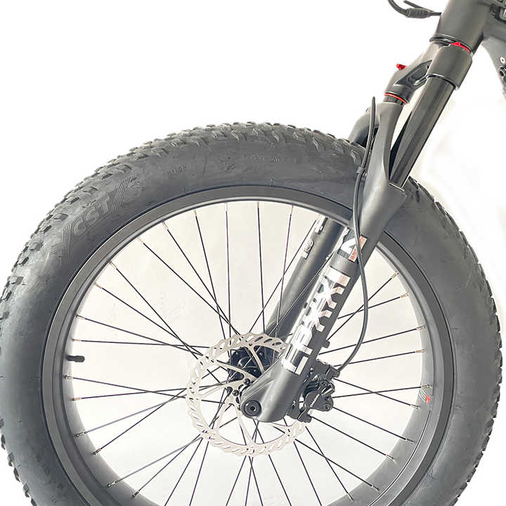 Berserk 11 Speed Fat Tyre Ebike Freego Hydraulic Disc Brake (Hydraulic ...