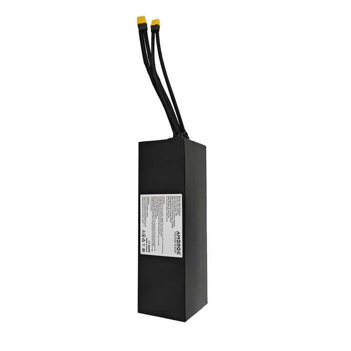 AMORGE 48V 20AH Lithium Battery Pack with ANT Bluetooth BMS