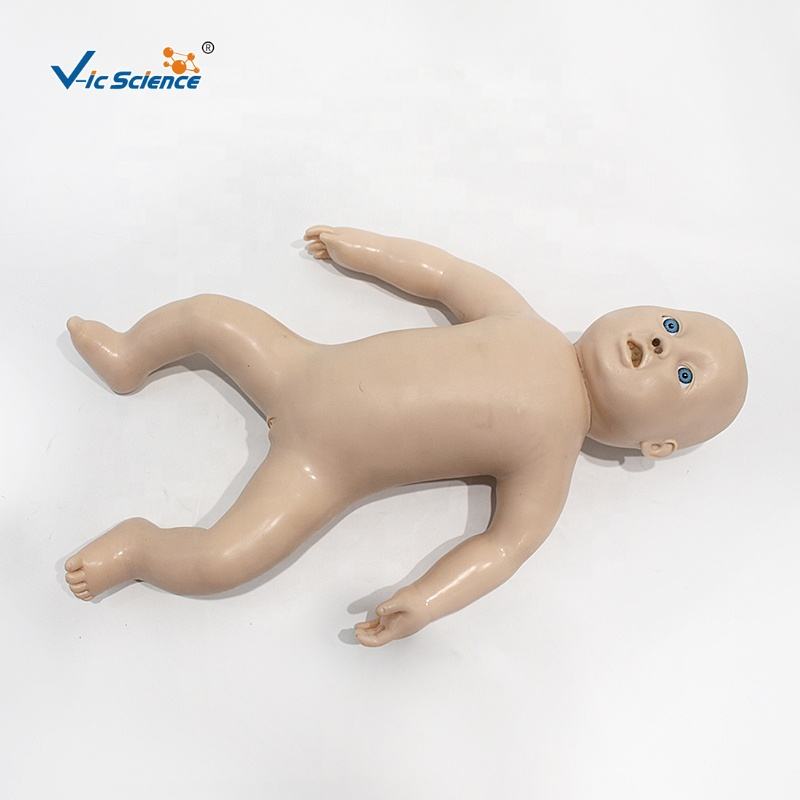 Nursing Manikin Advanced Nnewborn Care Model (Boy/Girl) Human Medical ...