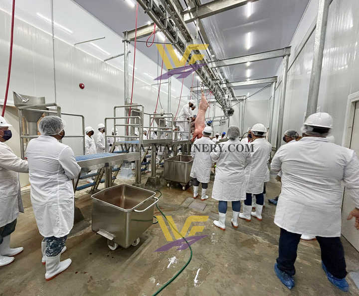 Pig Slaughtering Machine Hog Slaughterhouse Equipment for Swine ...