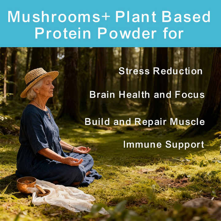3 in 1 Vegan Protein Powder Mushroom Supplement Quality Guaranteed ...