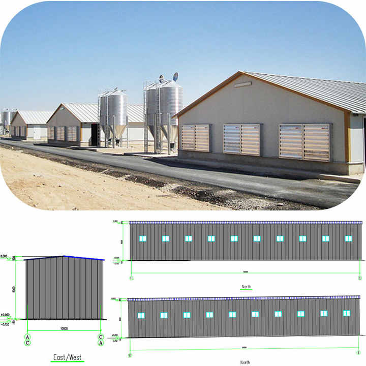 Low Cost Steel Poultry Shed Broiler Poultry Farm House Design Chicken ...