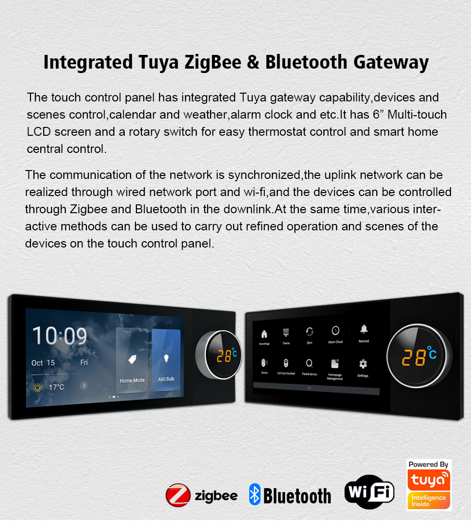 Tuya Customizable Central control panel (2-Ch Touch Switch)