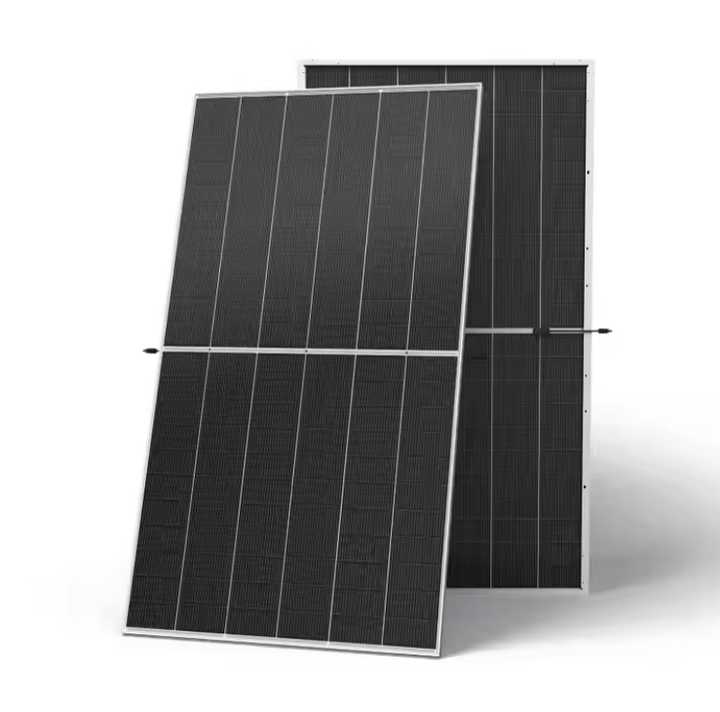 Trina Solar Panels Topcon Bifacial Dual Glass Modules N-type ...