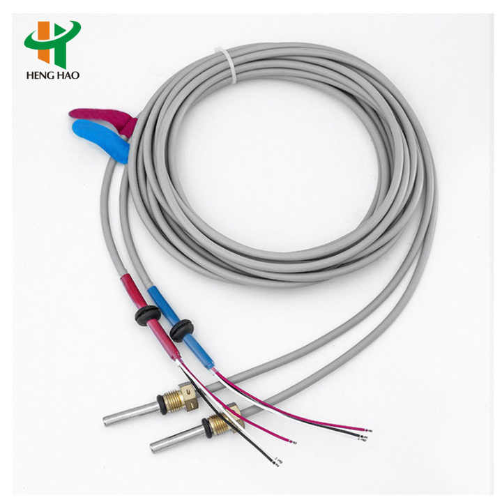 PT100 PT500 PT1000 RTD Platinum resistor Temperature sensor B R S K E J ...