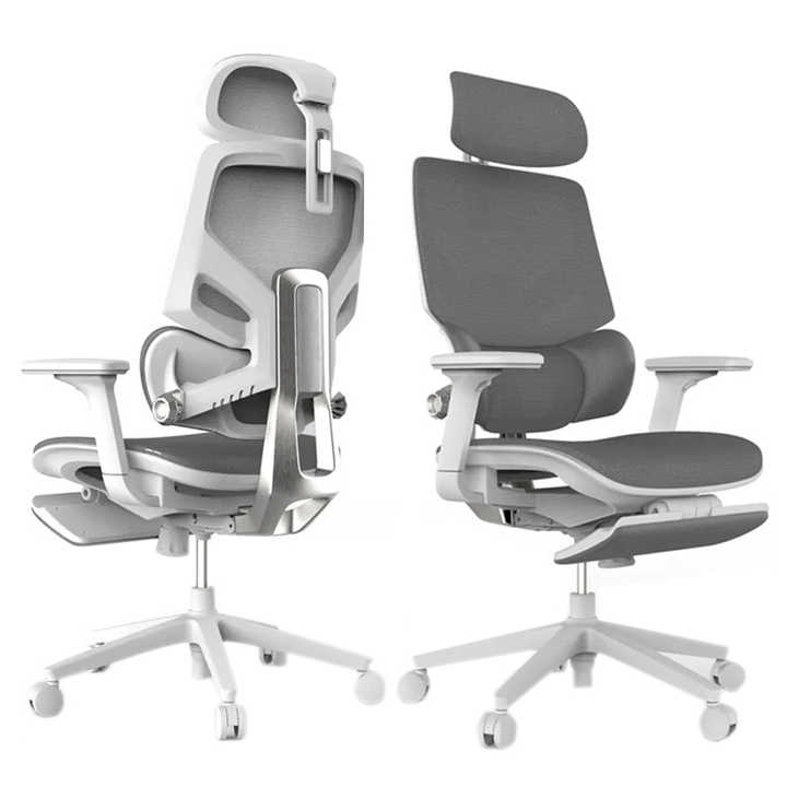 Ergonomic Office Chair with Metal Frame and Adjustable Backrest