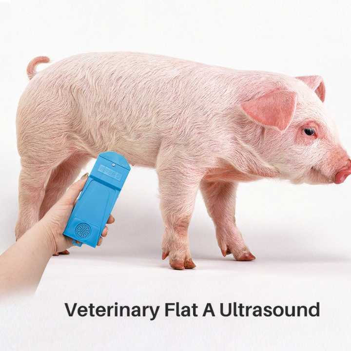 Mini Flat Veterinary Ultrasound Test Detector for Pig Sow Swine Sheep ...