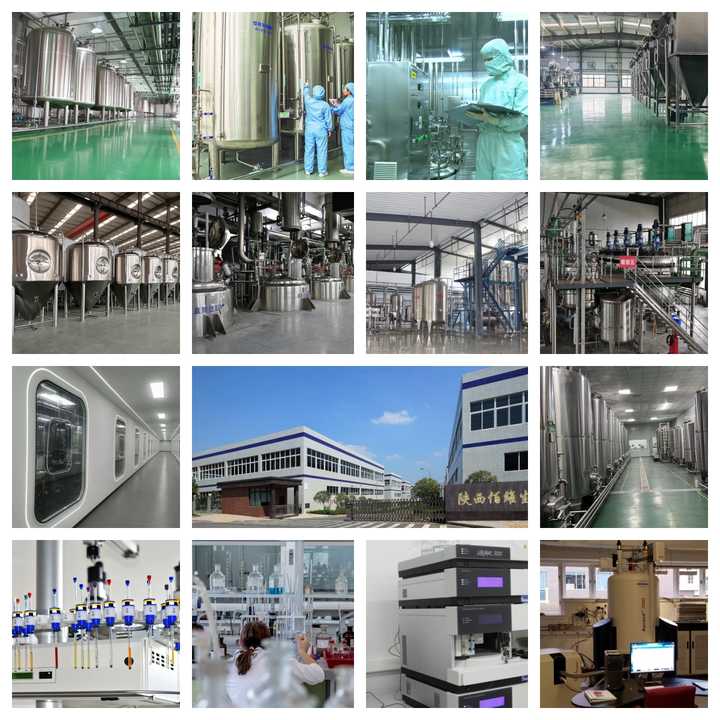 Cocoa Powder Manufacturer Cocoa Shell Powder Alkalised Cocoa Powder ...