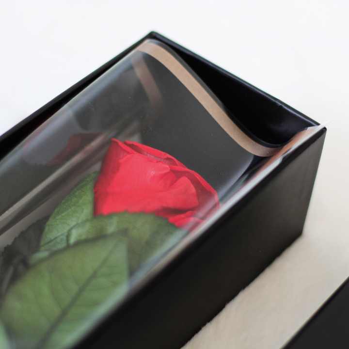 Lovebay Eternal Rose Single 1Rose in Box Natural Preserved Flowers Real ...