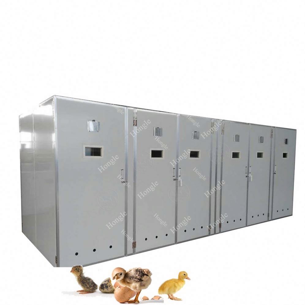 Efficient Hatching Solutions with Advanced 300 eggs chicken solar ...