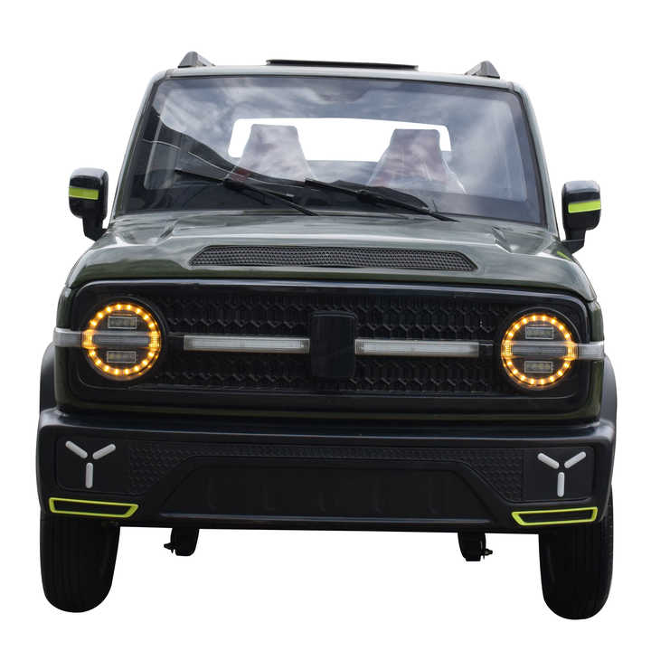 Chang Li Electric Car New Energy Long Endurance Mini Electric Pickup ...