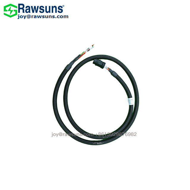 Rawsuns Electric Vehicle BMS Wiring Harness - Custom Communication ...
