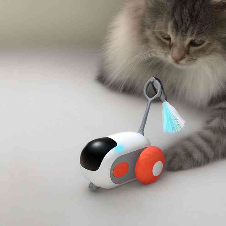 Interactive Kitten Chaser Remote Control Toy for Cats Featuring Feather ...