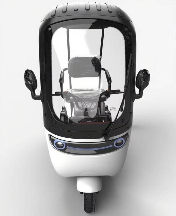 Electric Cargo Tricycle 3 Wheel Passenger Bike Adult 600W 1200W Motor ...