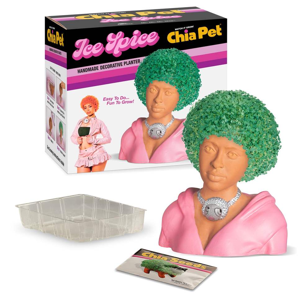 Customizable Chia Pet Ice Spice with Cute Design Plant Gift Box
