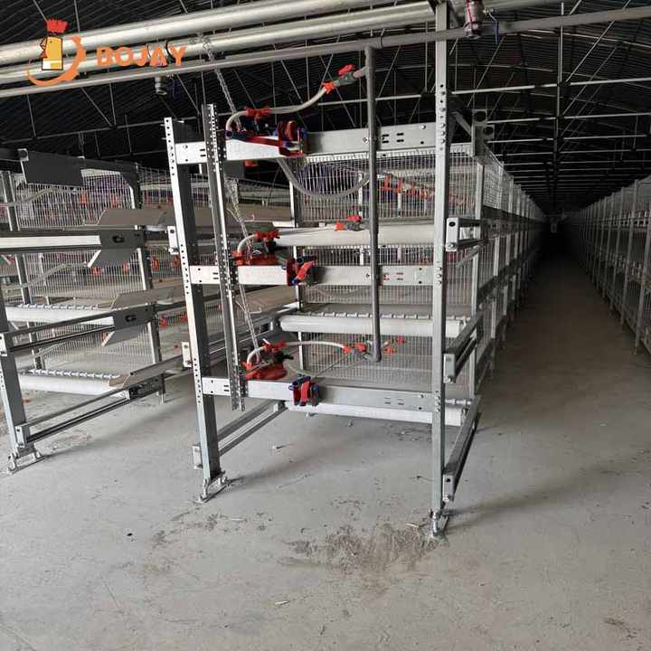 Customized High-Density Poultry Farm Layer Cages Space-Saving Animal ...
