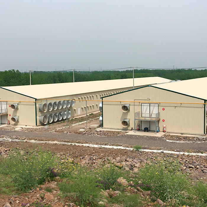 High-Quality structure steel hangar steel buildings for Durable and ...