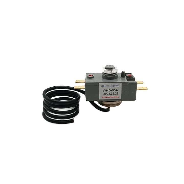 95 degree manual reset temperature limiter Electric water heater 73 ...