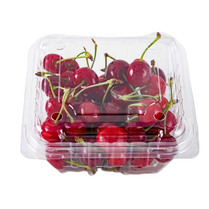 Sustainable Fruit Containers - Clear, Disposable PET Boxes