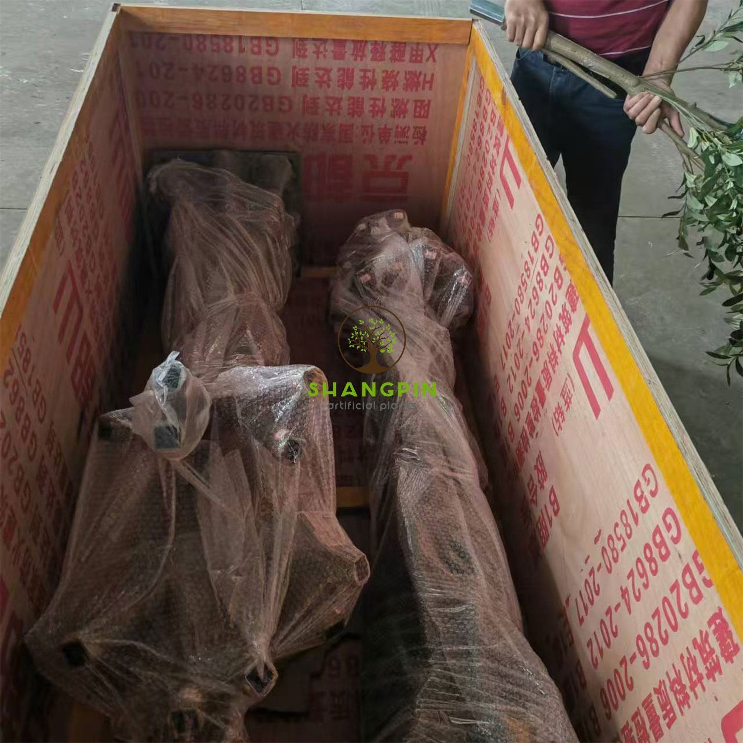 How to Choose the Best Purple Blossom Tree for Your Garden