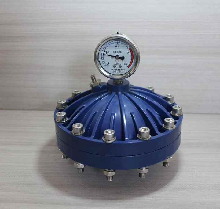 PVDF Diaphragm Type Pulsation Damper for Dosing Metering Pump Diaphragm ...