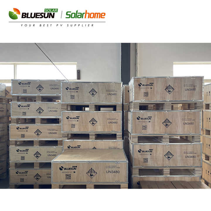 Bluesun 48V Lithium Batteries - High Capacity & Quality