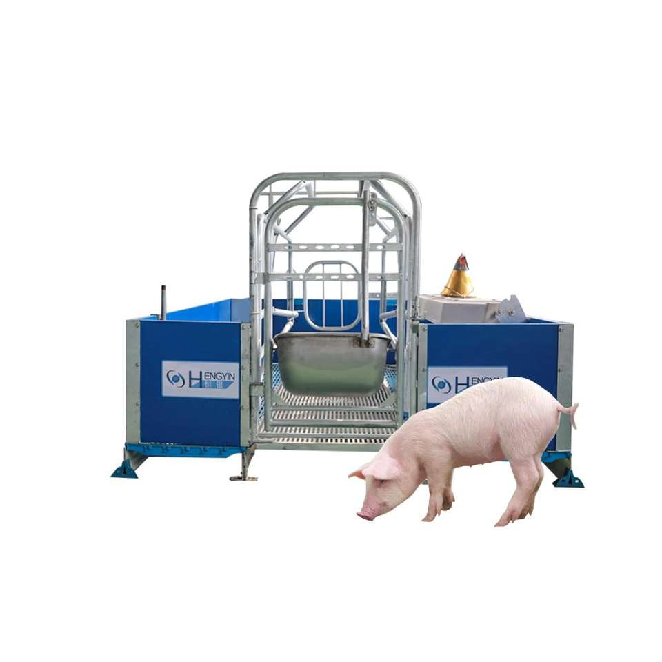 Hot HY-O 2026 Pig Equipment Pig Maternity Cages Pen Farrowing Huts ...
