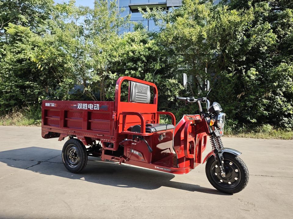 Sunsen >1000W >60V Electric Tricycle Open Three-Wheeled Cart 30-50Km/h ...