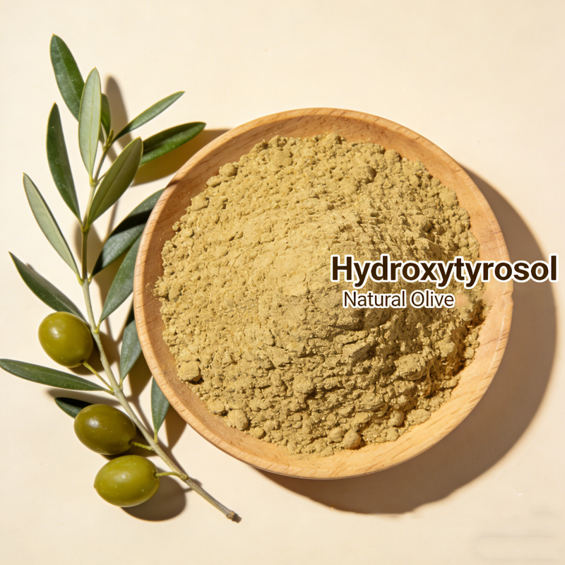 Bulk Price Olive Leaf Extract Hydroxytyrosol Powder 10% 25% ...