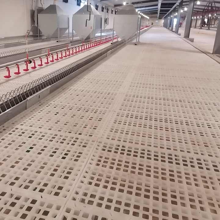 Kaleter Broiler and Breeder Shed Farm Slat Floor Plastic Slats