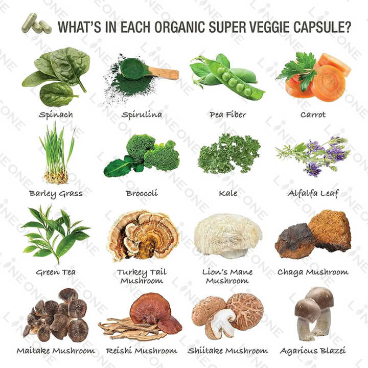 Juice Plus Capsule - Blended Fruit & Vegetable Juice Powders
